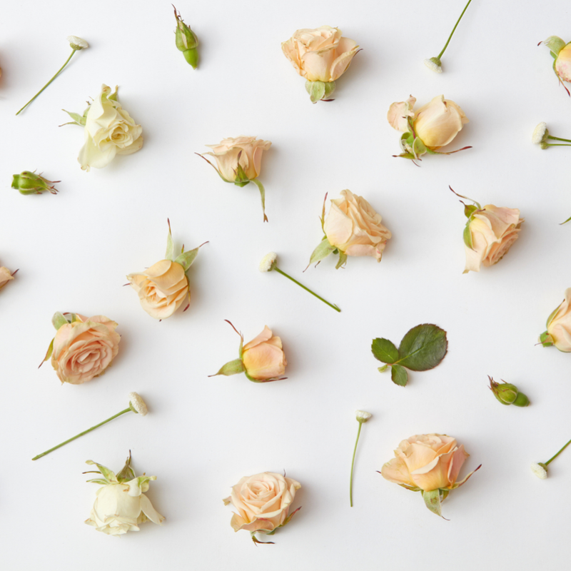 Flavour Trend: Rose